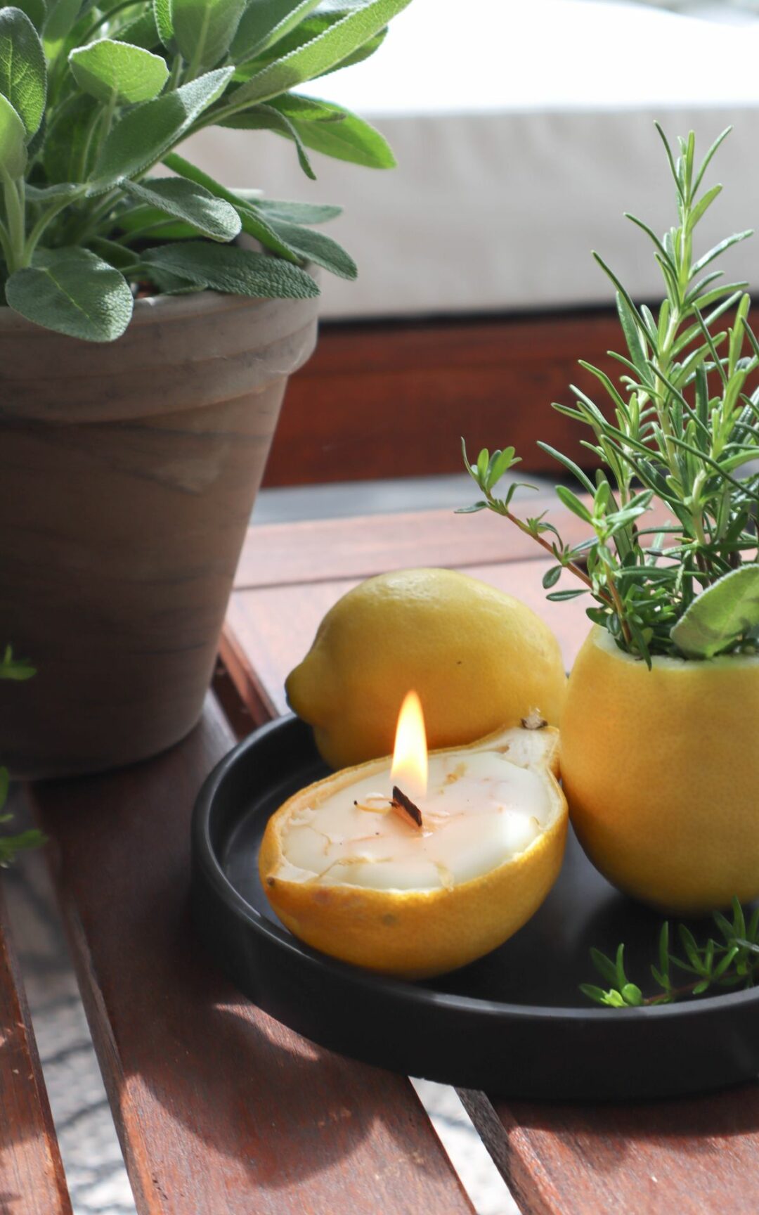 Citronella Kerzen In Der Wohnung