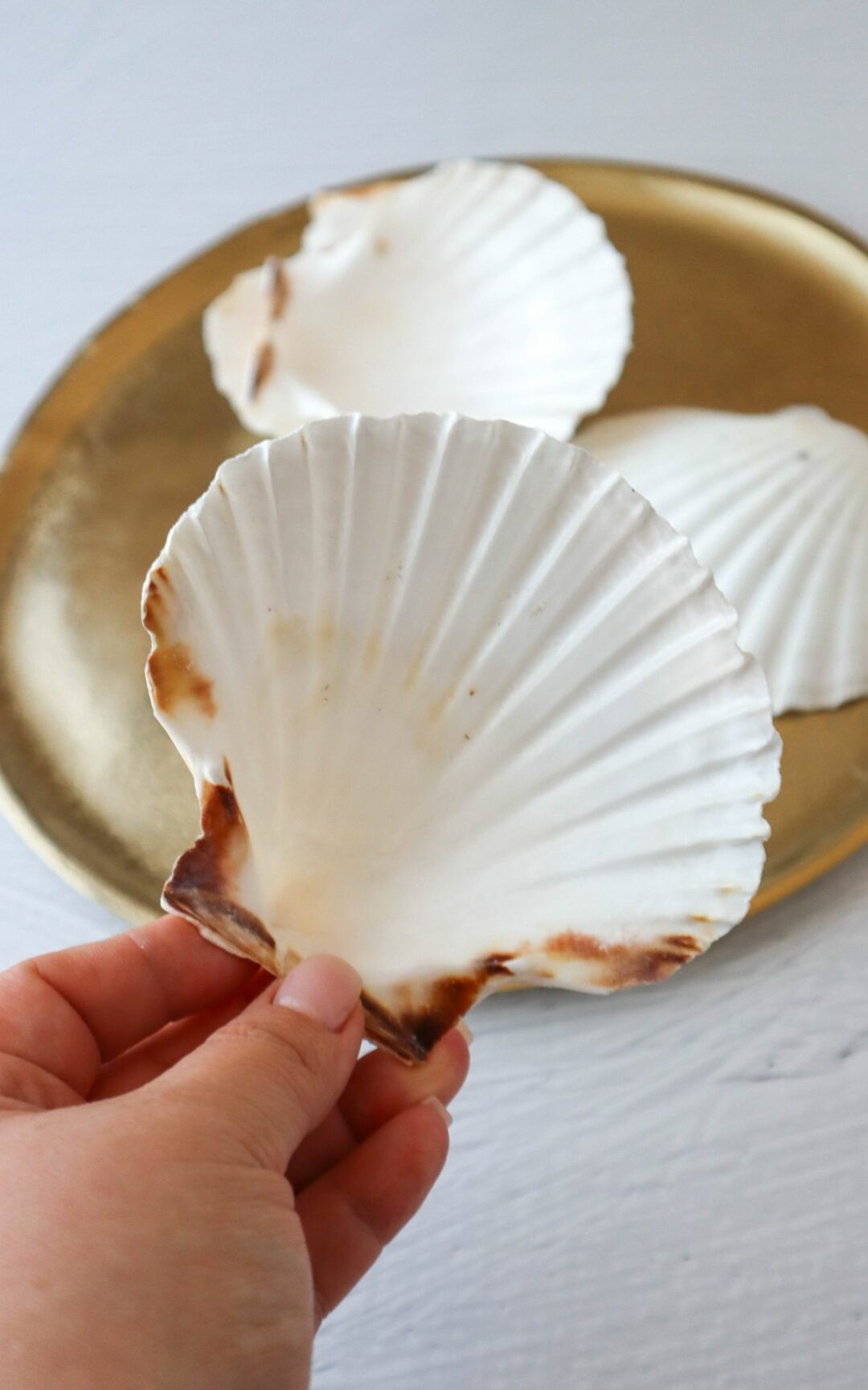 Mit Muscheln basteln: DIY Sommerdeko mit Muscheln & Serviettentechnik