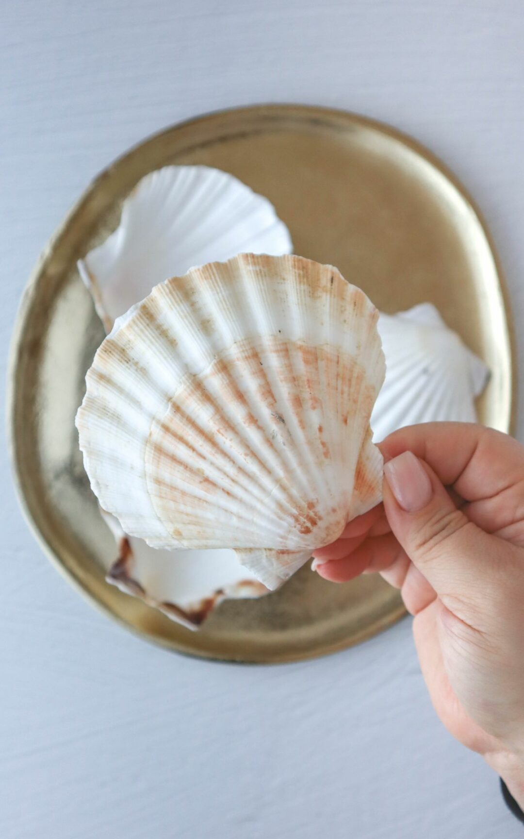 Mit Muscheln basteln: DIY Sommerdeko mit Muscheln & Serviettentechnik