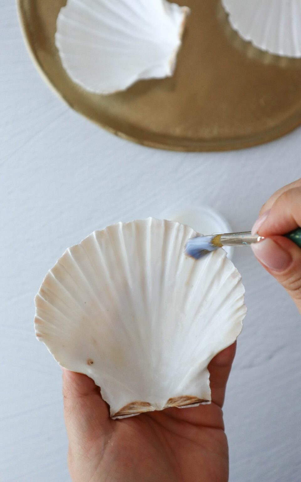 Mit Muscheln basteln: DIY Sommerdeko mit Muscheln & Serviettentechnik
